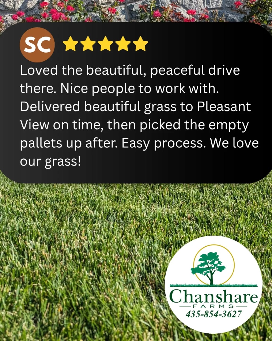 Chanshare Sod - Water Wise Turf (TM), Grass, Sod