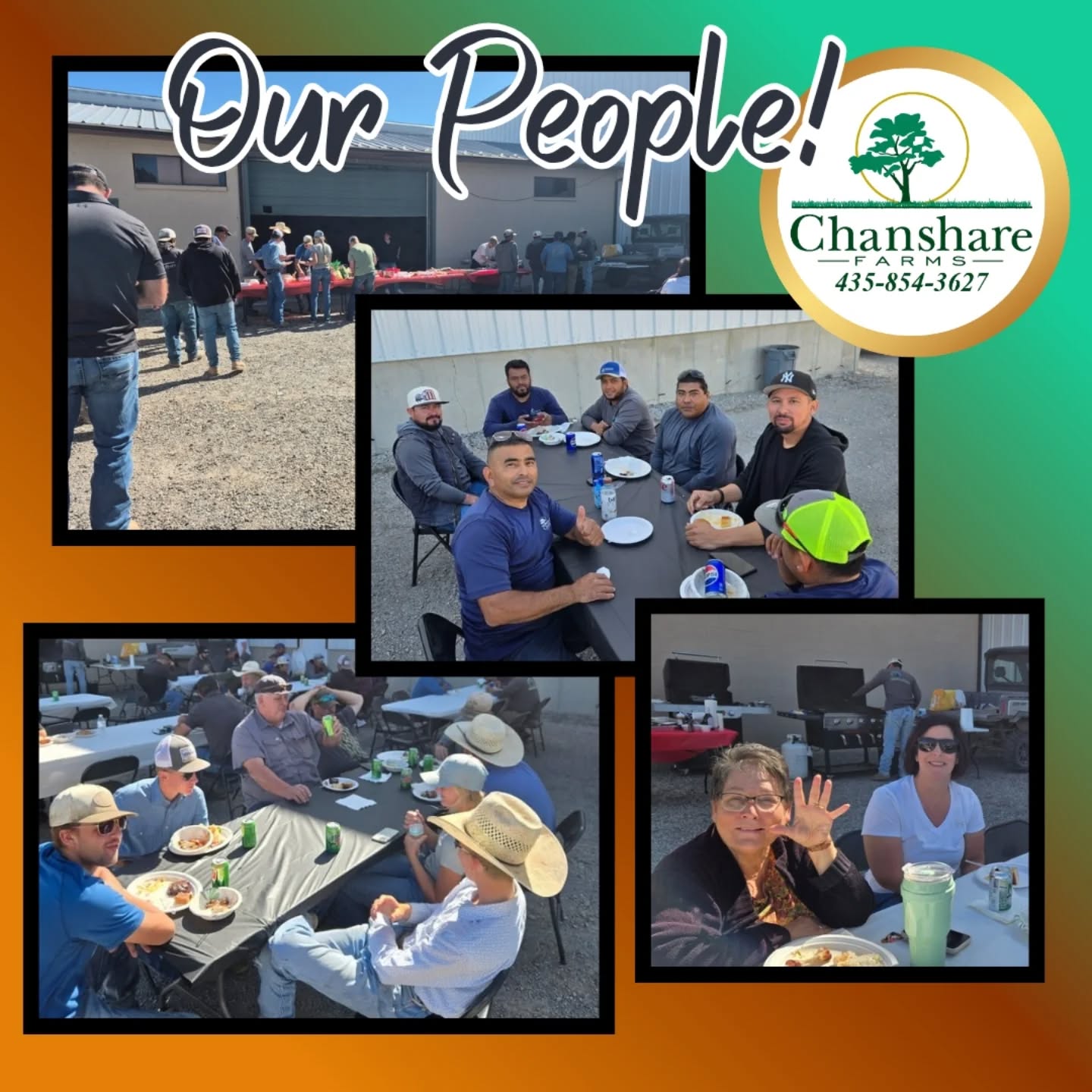 Chanshare Sod - Water Wise Turf (TM), Grass, Sod